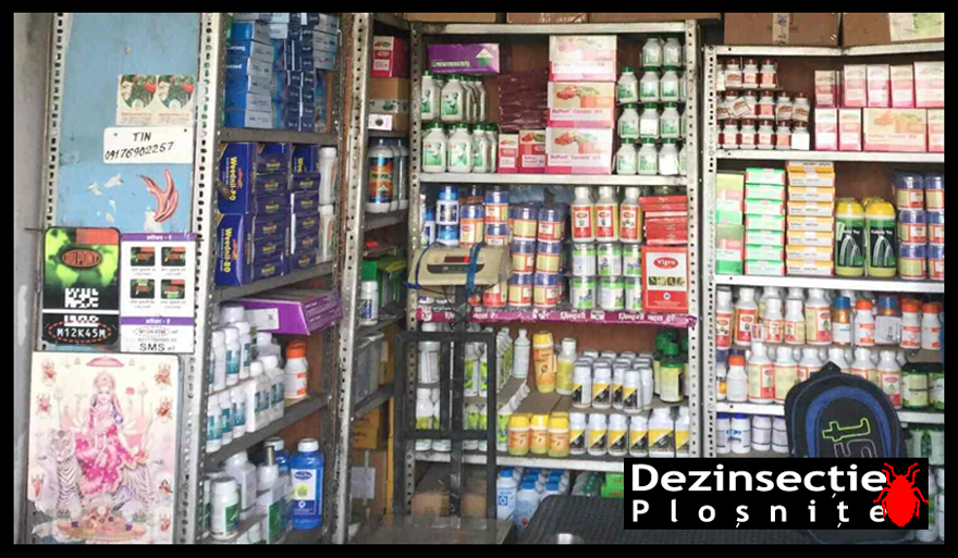 Cum scapi de plosnite | Solutii plosnite